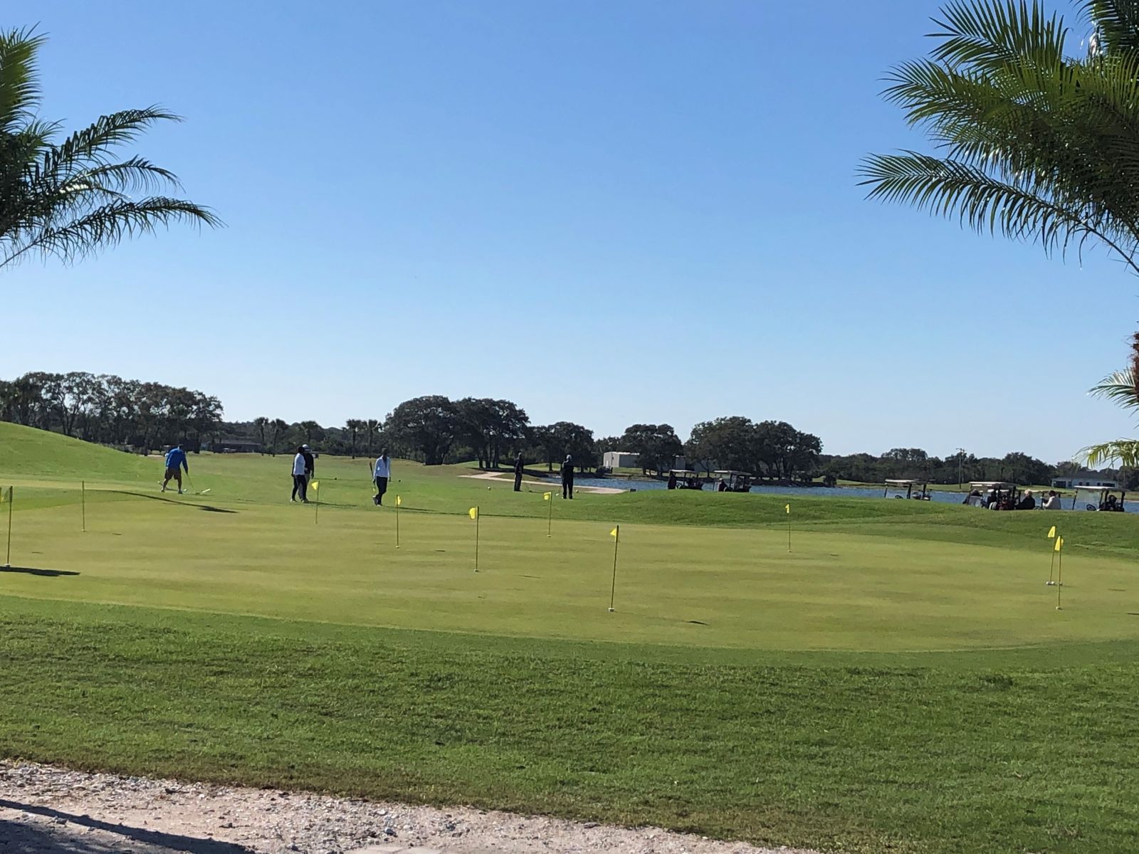 Tournaments - The Cove of Rotonda Golf Center
